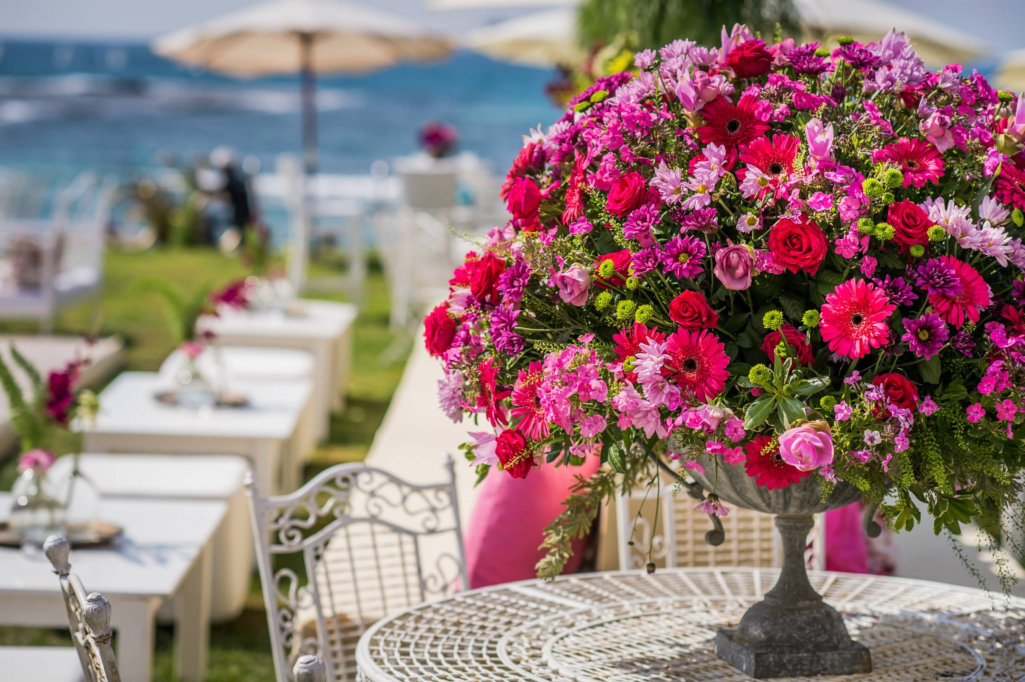 חוף הים שדות ים | 2DoEvents