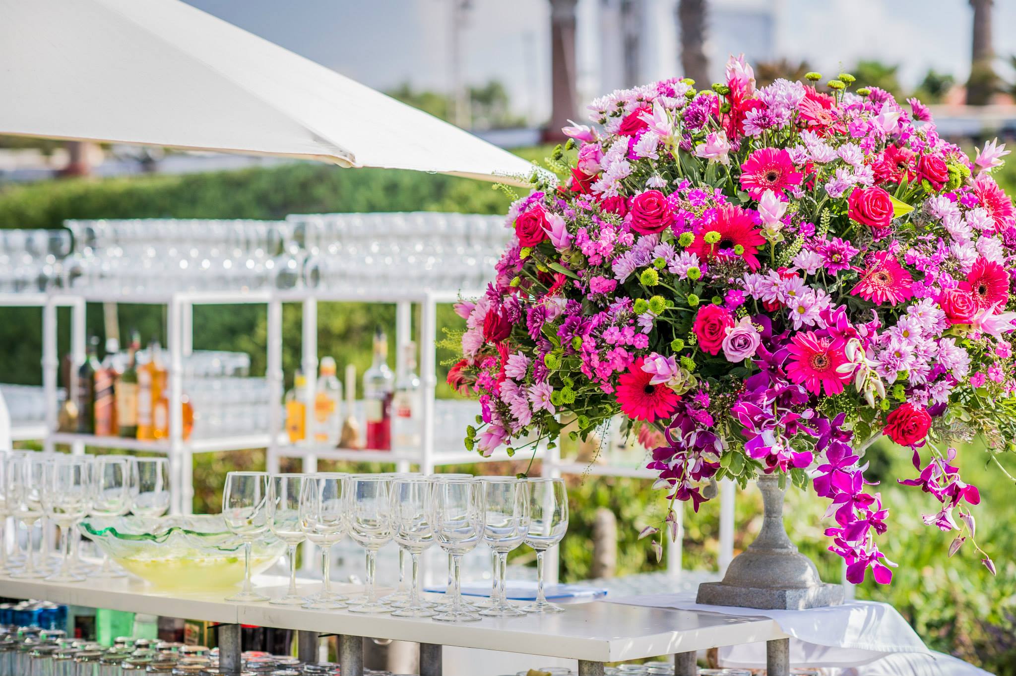 חוף הים שדות ים | 2DoEvents