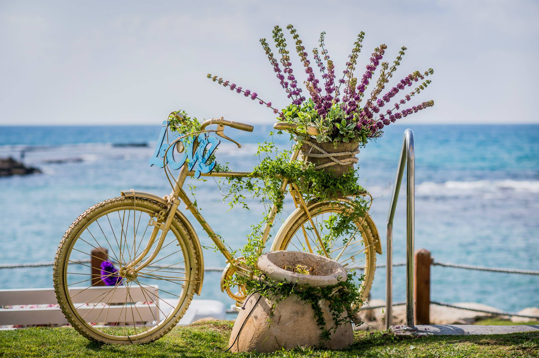 חוף הים שדות ים | 2DoEvents