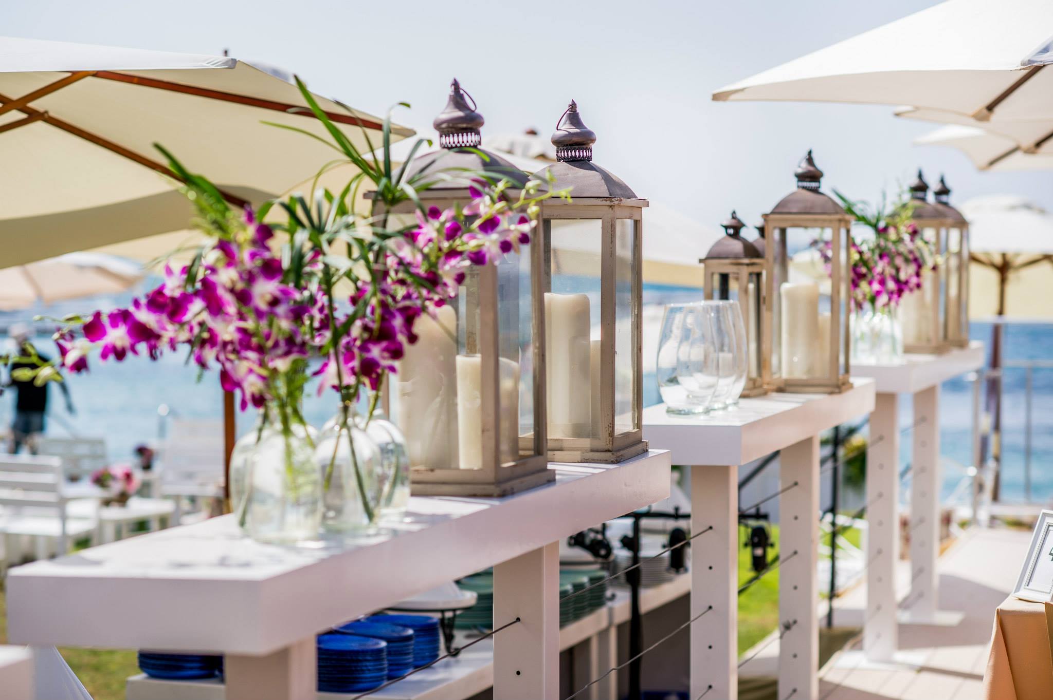 חוף הים שדות ים | 2DoEvents