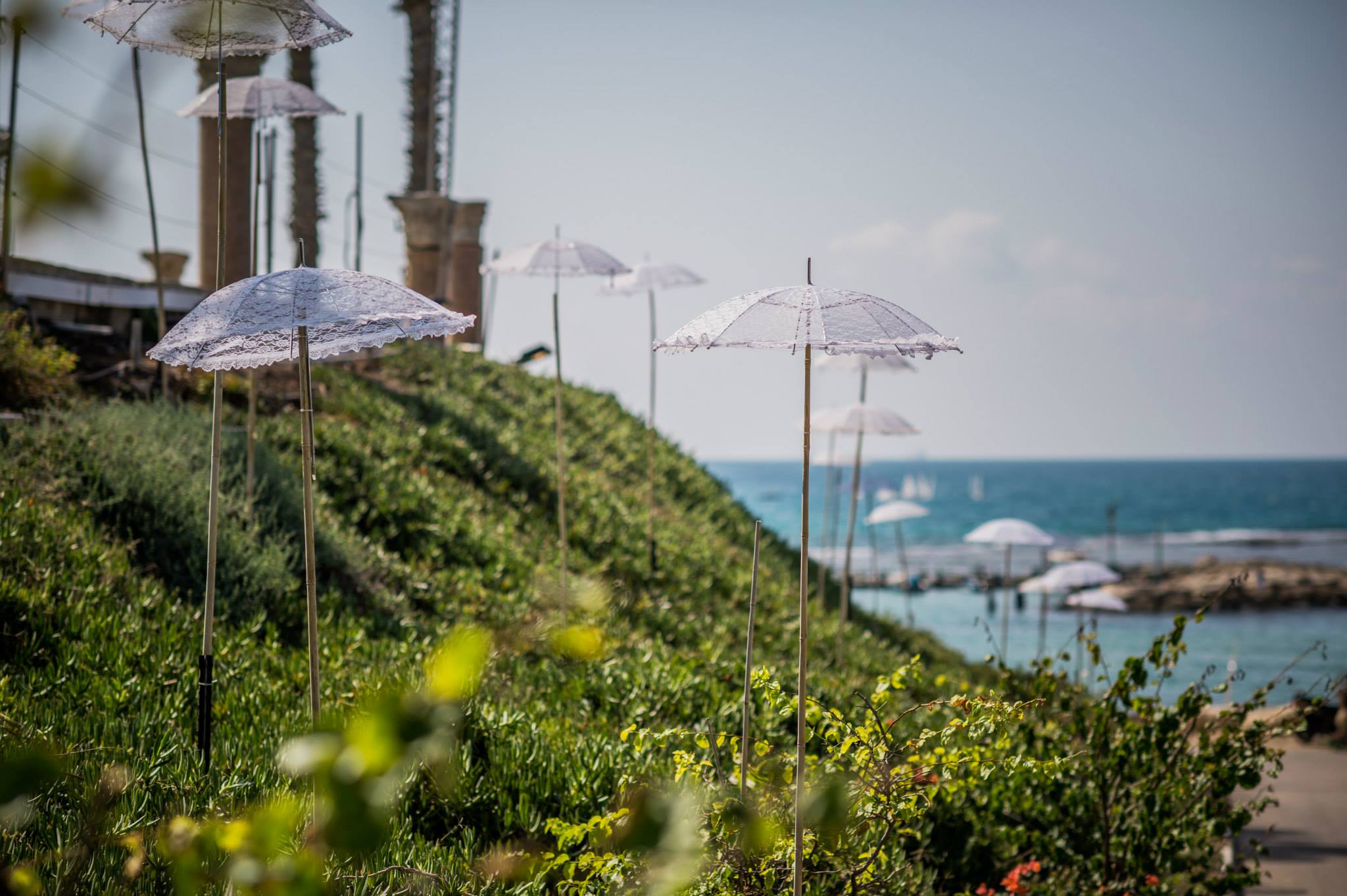 חוף הים שדות ים | 2DoEvents